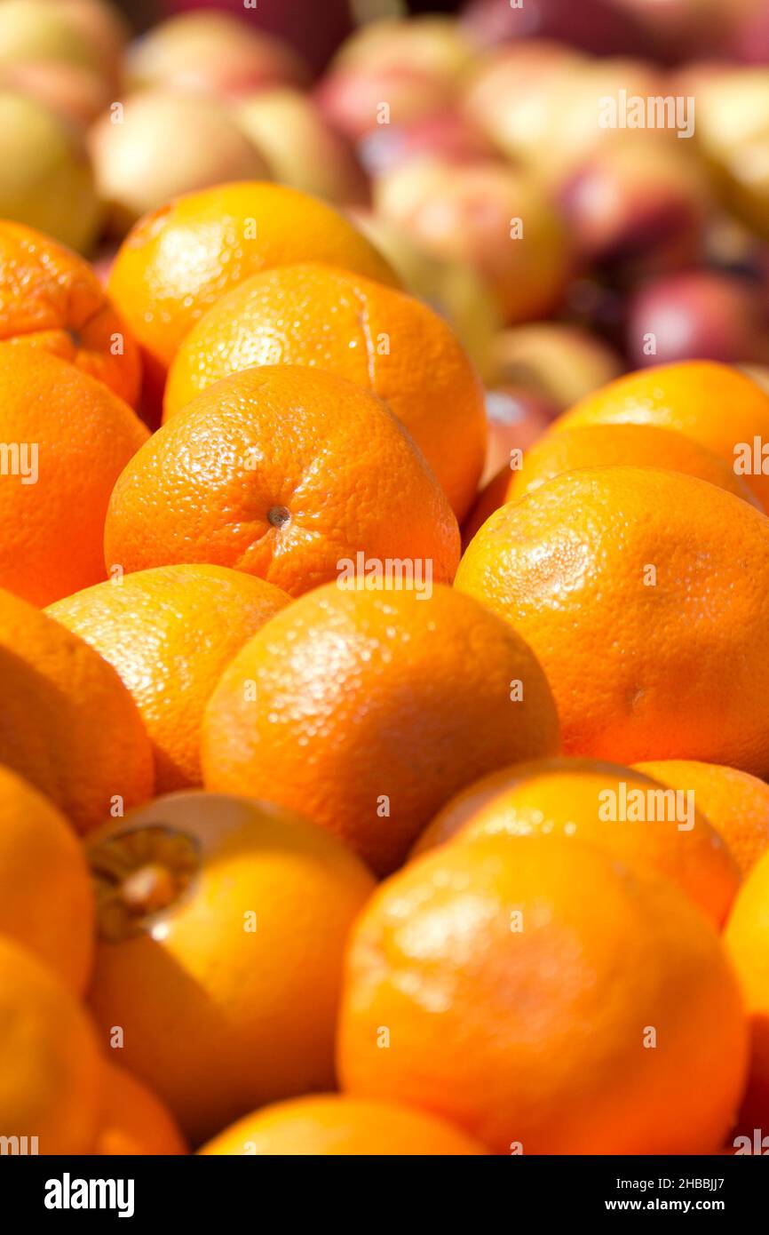 Farmers in brazil hi-res stock photography and images - Alamy