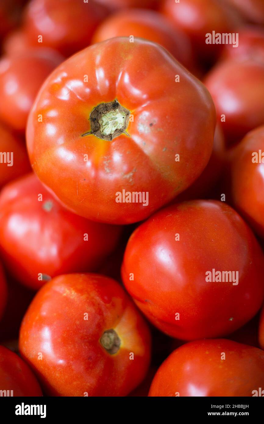 Seedless tomato hi-res stock photography and images - Alamy
