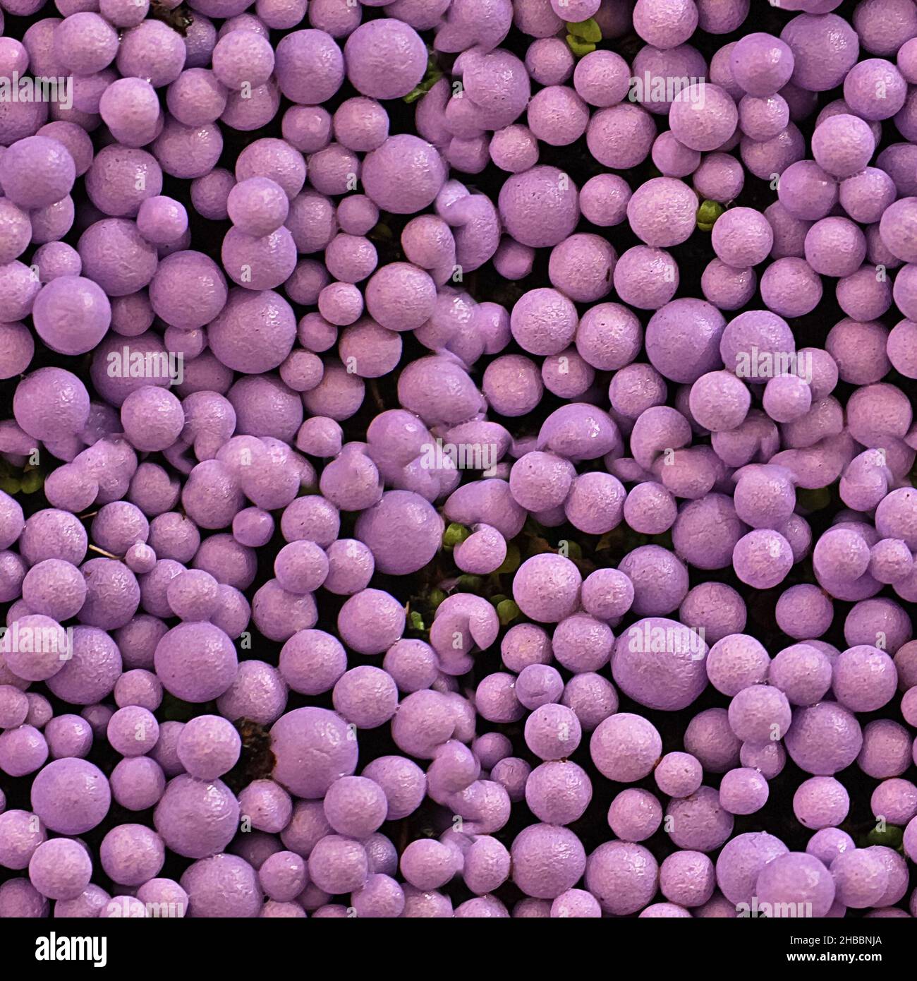 Photo realistic seamless texture pattern of organic plant leaves Stock ...