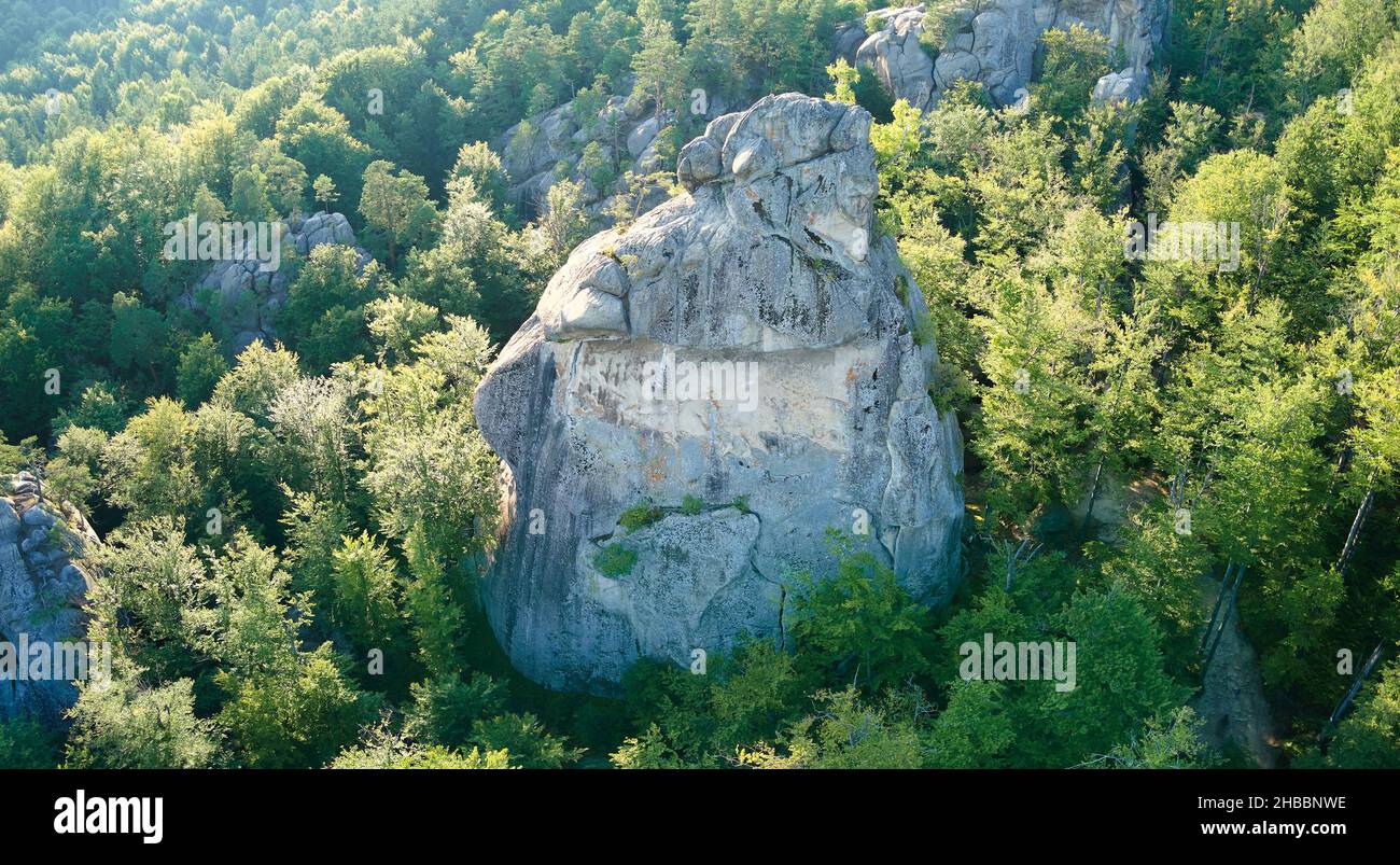 Aerial view of bright landscape with green forest trees and big rocky ...