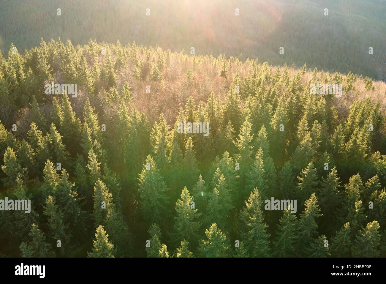Aerial view of brightly illuminated with sunlight beams foggy dark ...