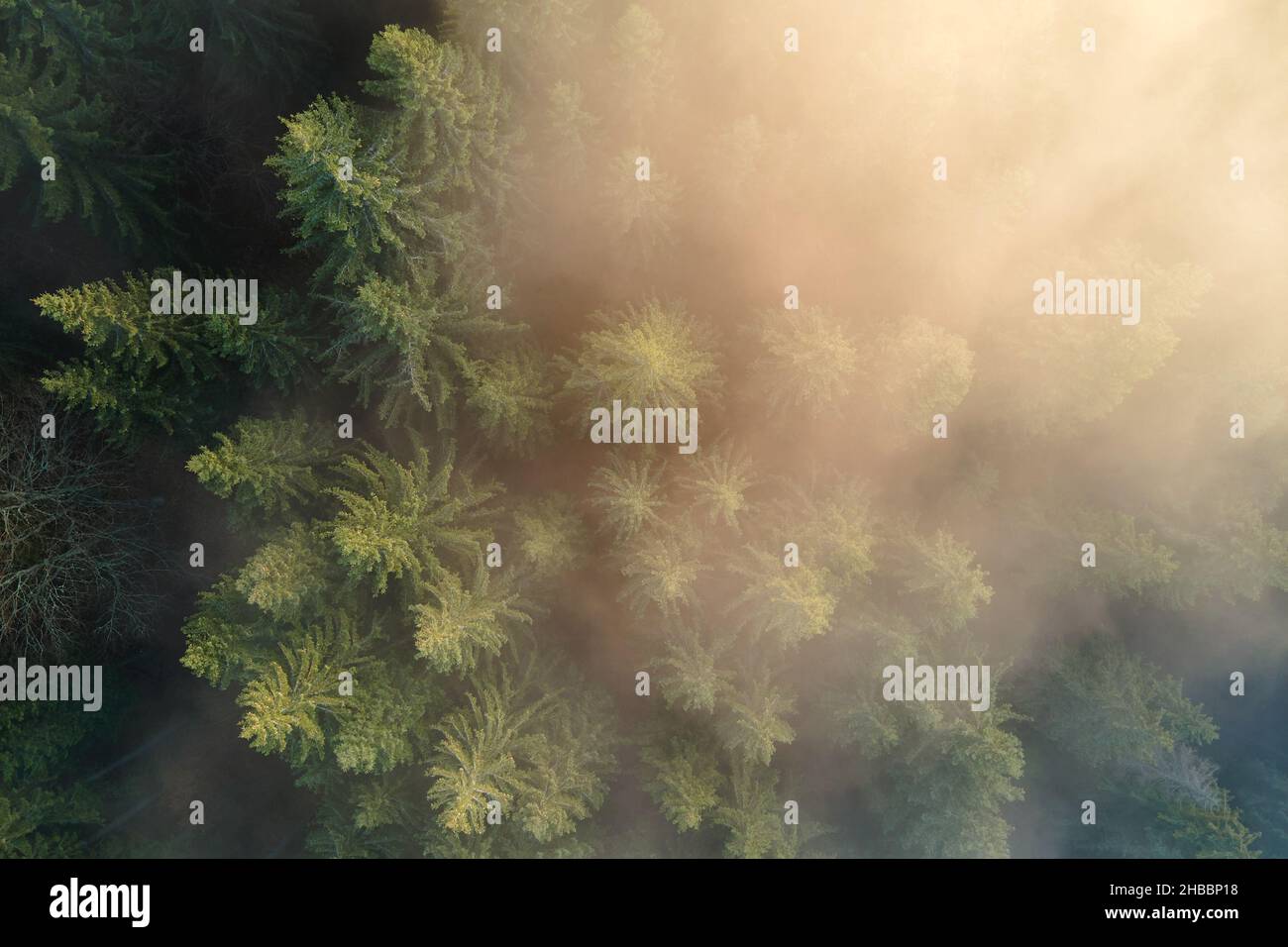 Aerial view of brightly illuminated with sunlight beams foggy dark ...