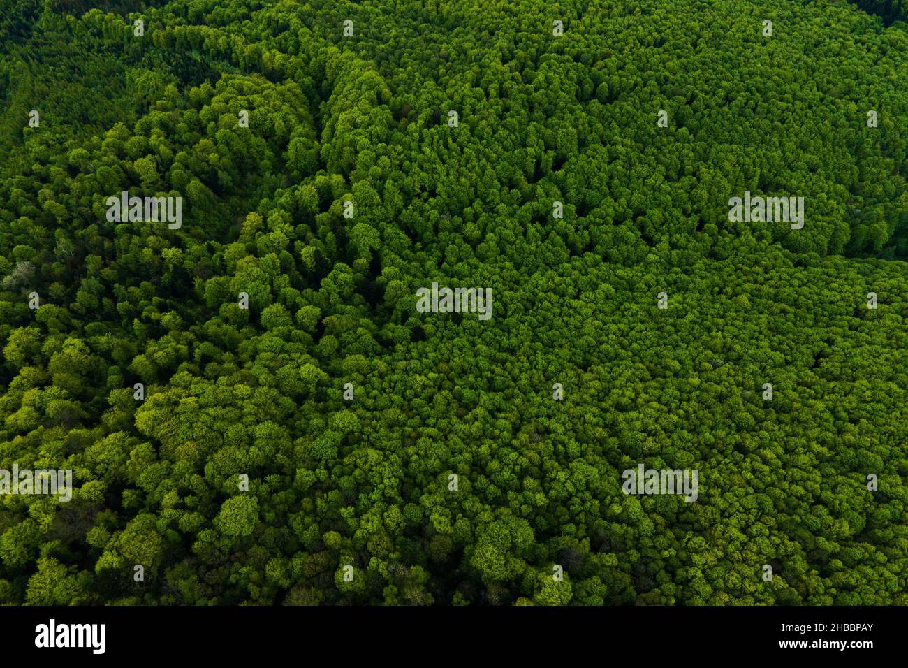 Aerial high above dark evergreen hi-res stock photography and images ...