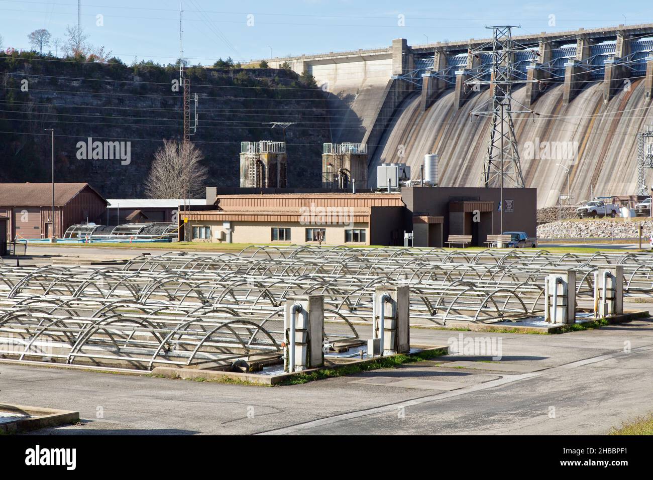 Shepherd of the Hills Fish Hatchery, raceways, raising Brown & Rainbow ...