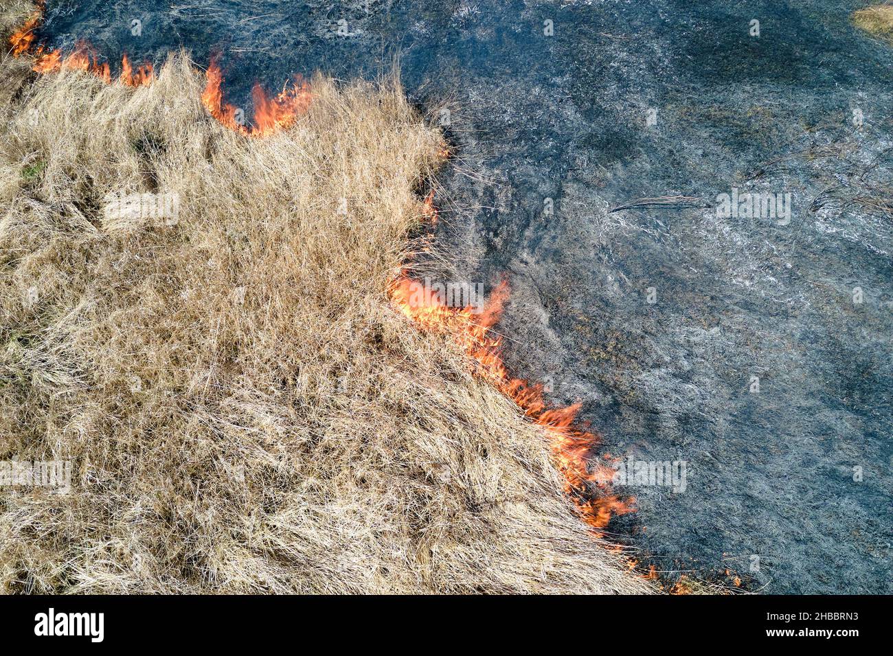 Aerial view of grassland field burning with red fire during dry season ...
