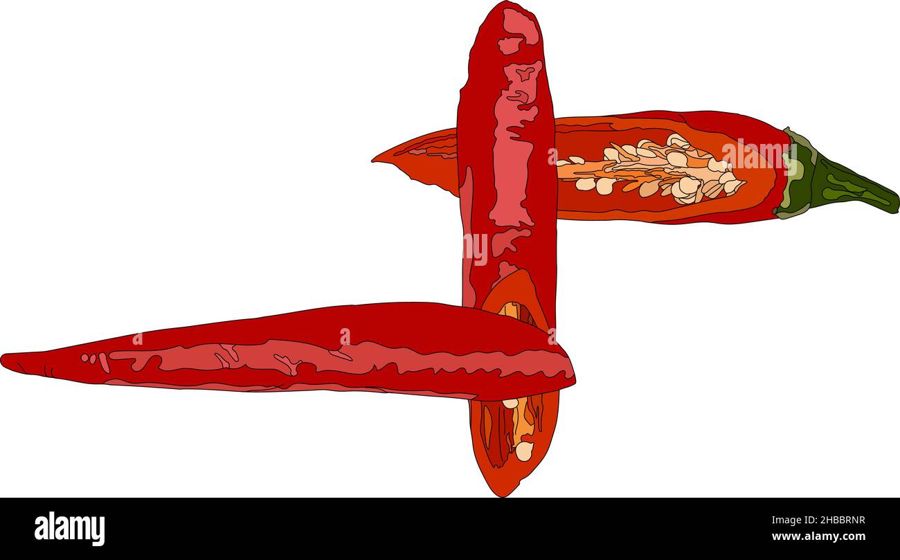 Red chili pepper isolated on a white background. Side View. Vector ...