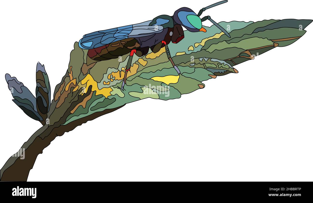 Wasp side view Stock Vector Images - Alamy