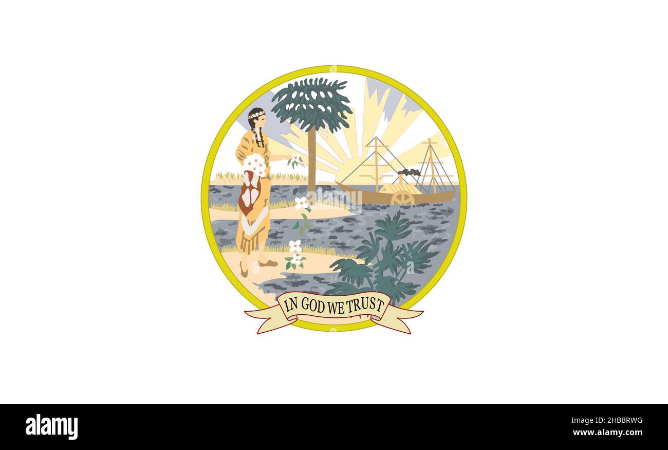 Top view of Florida 1868 1900 , USA flag, no flagpole. Plane design ...