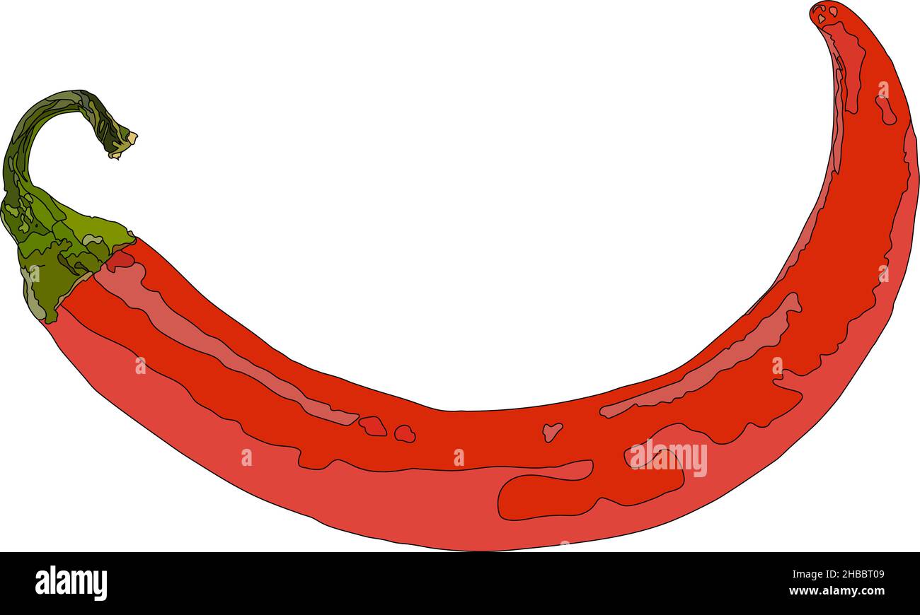 Red chili pepper isolated on a white background. Side View. Vector ...