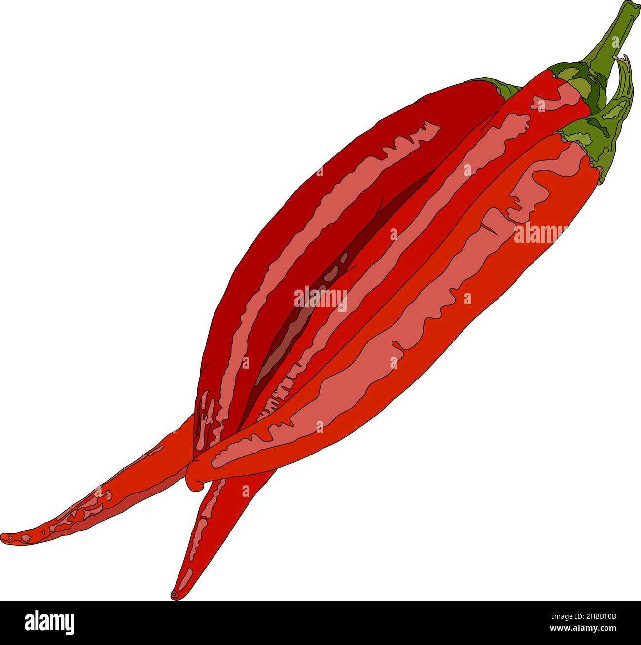 Creative chilli view Cut Out Stock Images & Pictures - Alamy