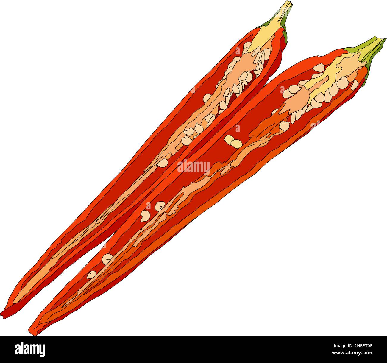 Creative chilli view Stock Vector Images - Alamy