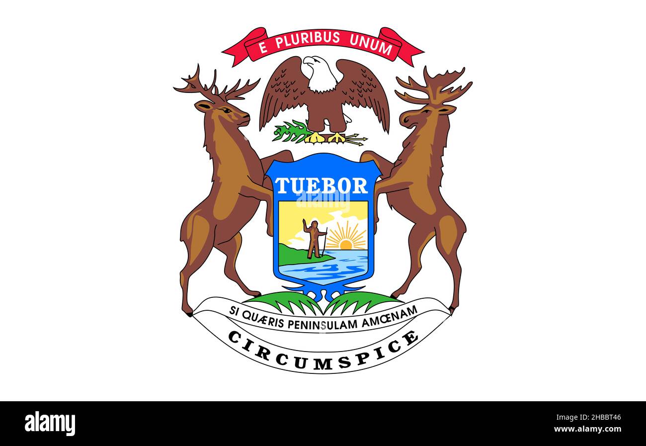 Top view of Governor of Michigan , USA flag, no flagpole. Plane design ...