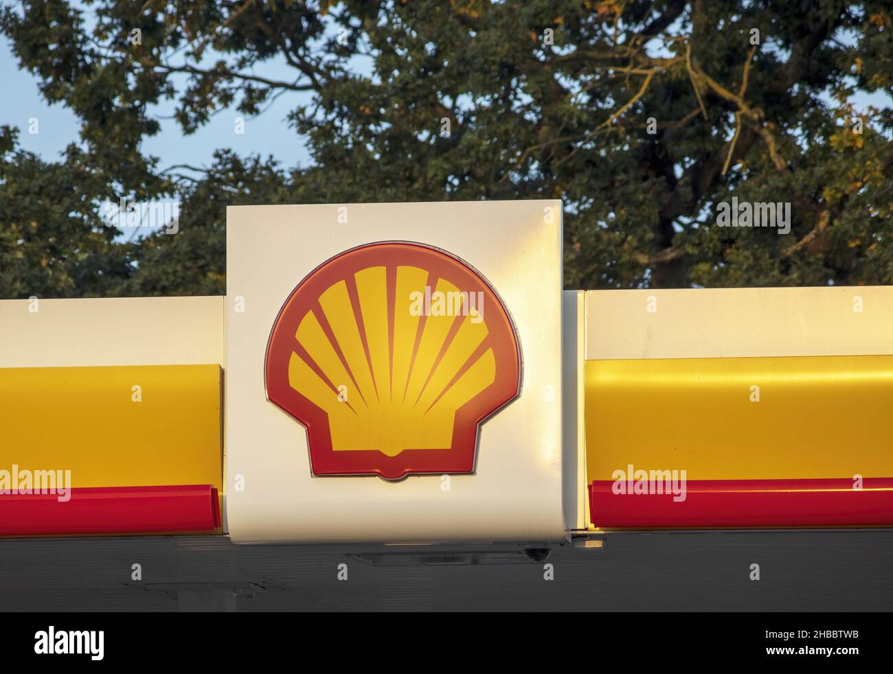 Shell canopy hi-res stock photography and images - Alamy