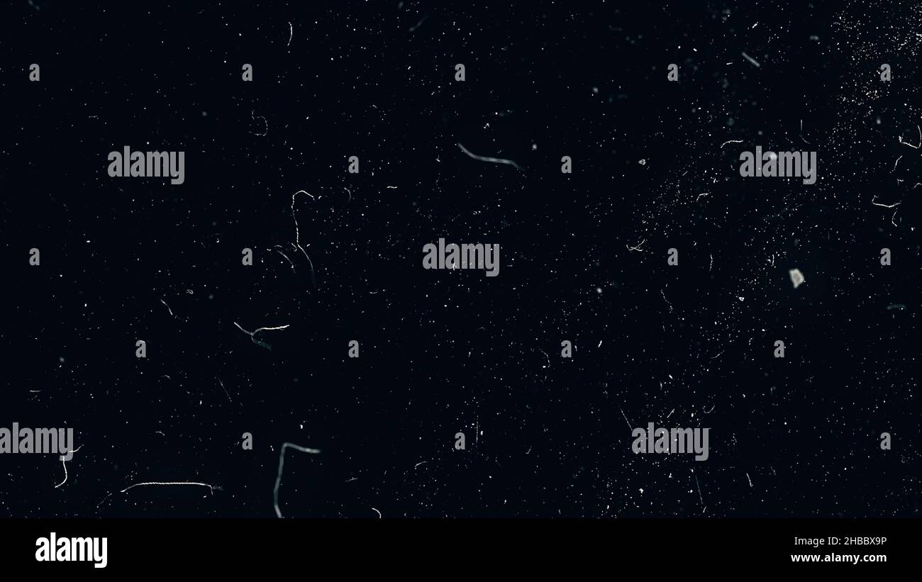 Slow motion macro shot of dust particles over black background. White ...