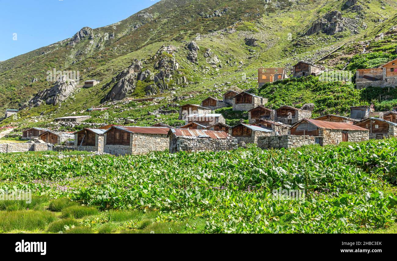 Golezena, a highland village in the Ardeşen district of Rize, offers ...