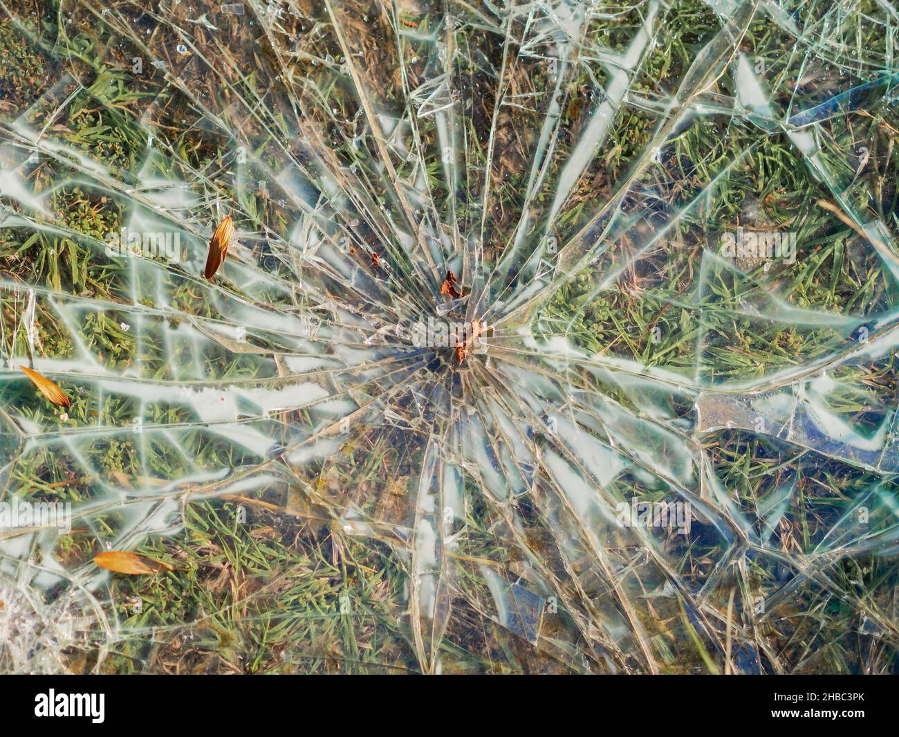An old broken glass with many cracks lies on green grass. Full screen ...
