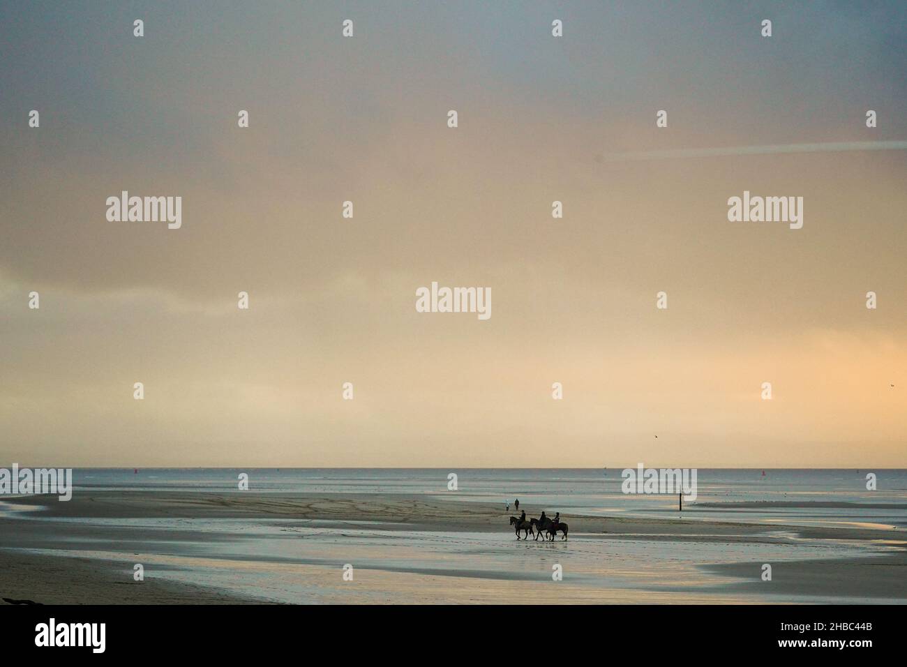Winter sunset at Formby Beach with horses in foreground Stock Photo - Alamy