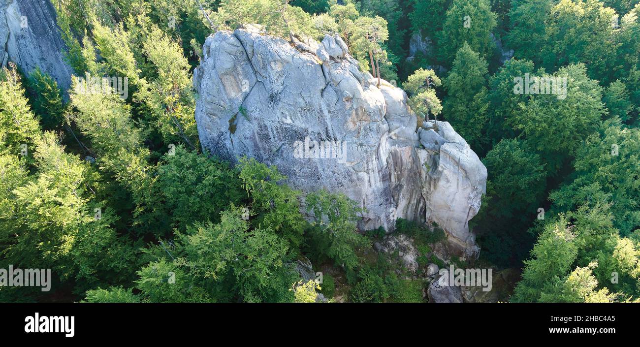 Panoramic view of bright landscape with green forest trees and big ...