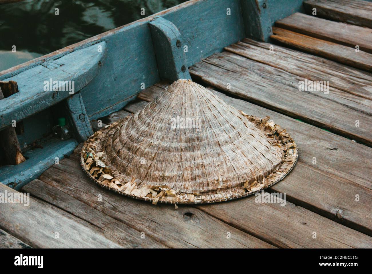 Conical leaf hi-res stock photography and images - Alamy