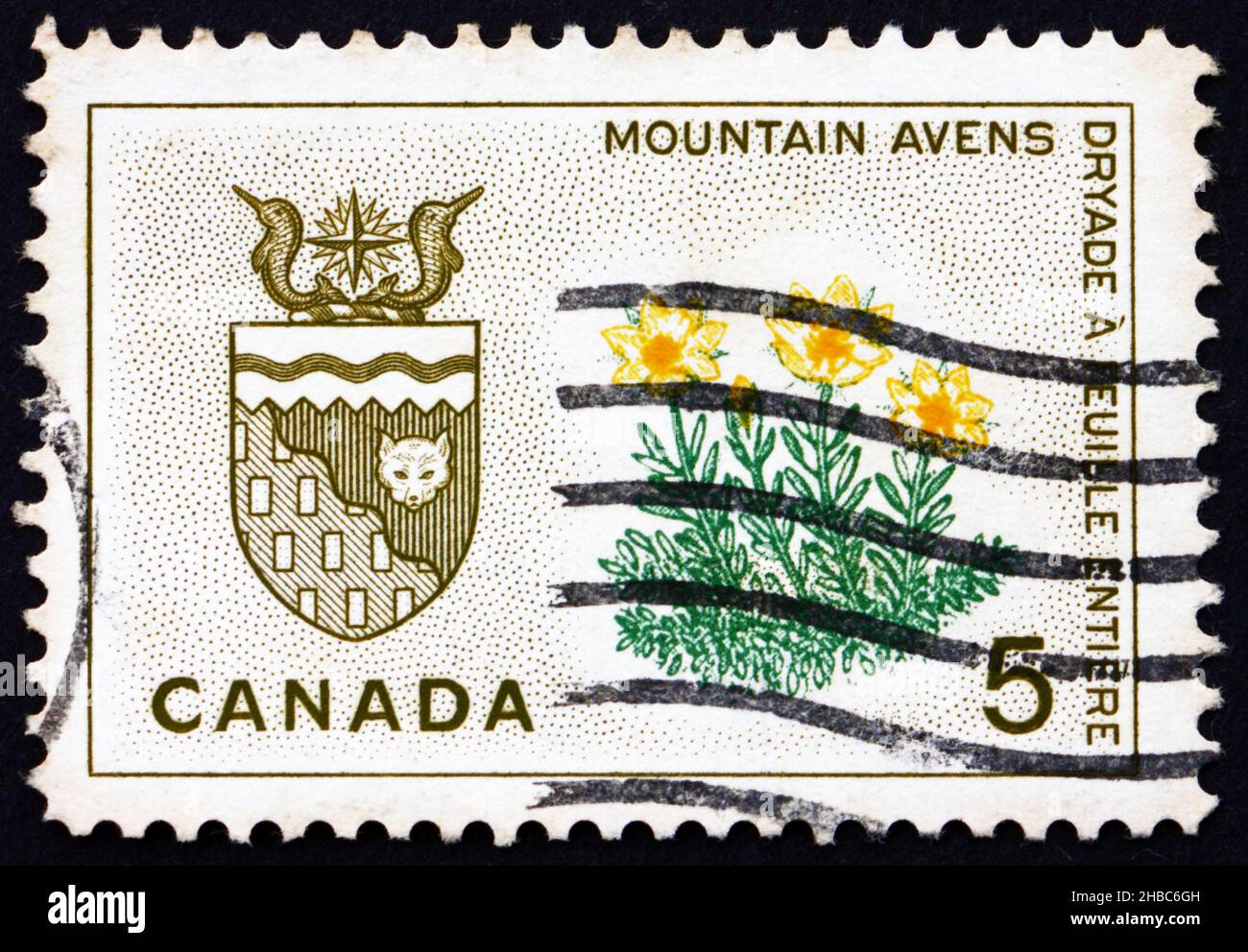 CANADA - CIRCA 1966: a stamp printed in the Canada shows Mountain Avens ...
