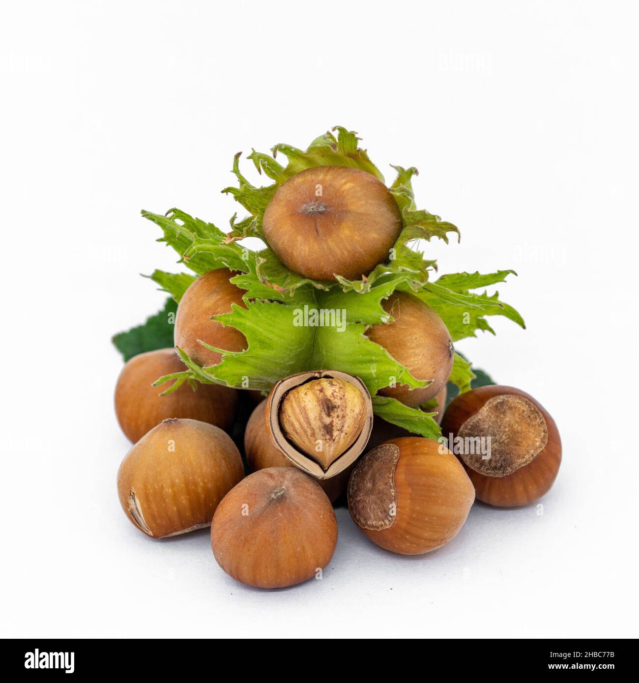 pile of ripe hazelnuts on white background Stock Photo - Alamy