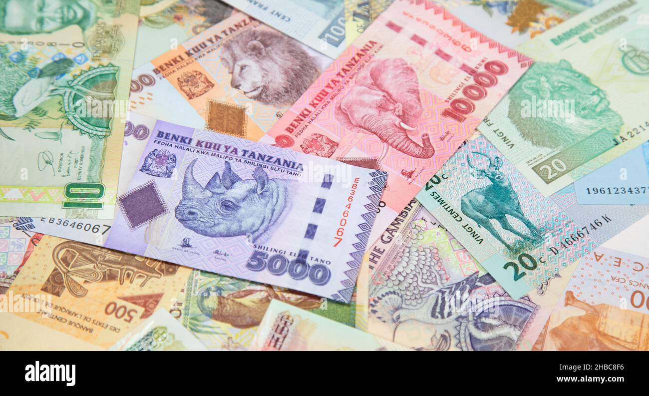 Variety of the African banknotes Stock Photo - Alamy