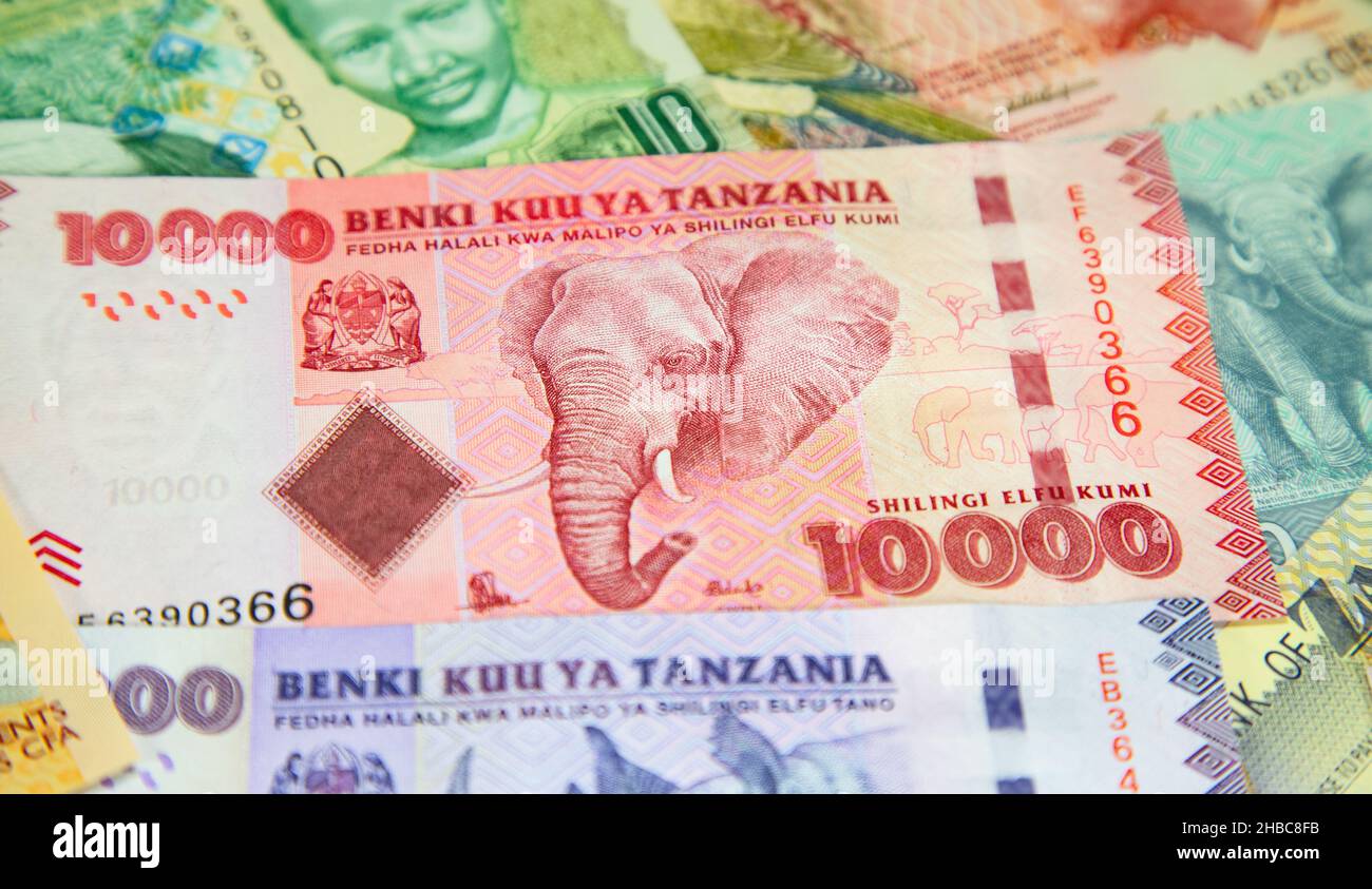Variety of the African banknotes Stock Photo - Alamy