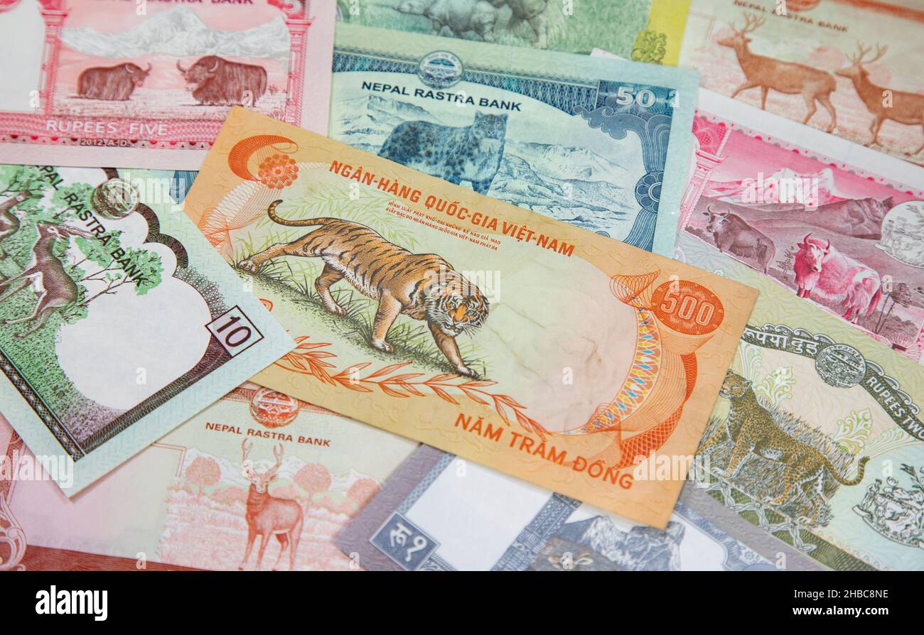 Variety of the Asian banknotes Stock Photo - Alamy