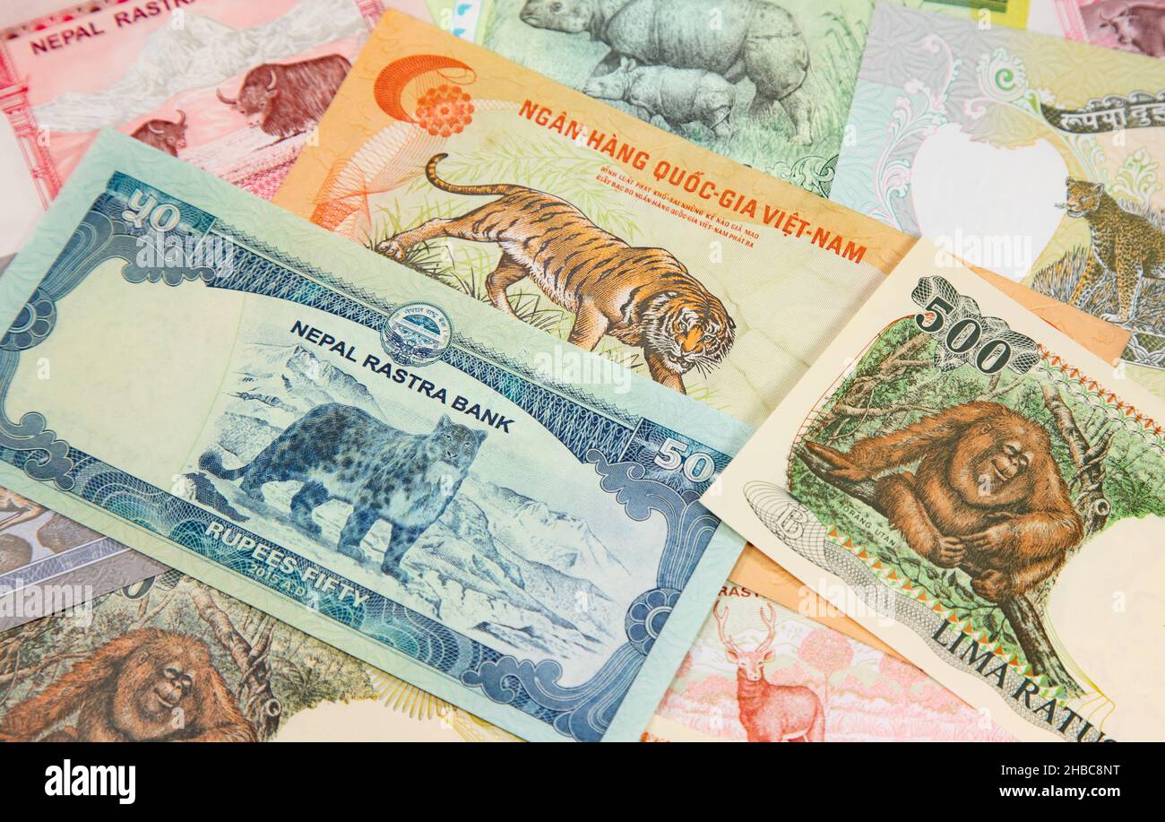 Variety of the Asian banknotes Stock Photo - Alamy