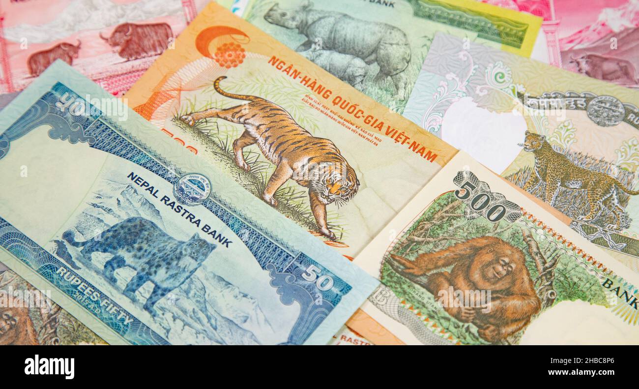 Variety of the Asian banknotes Stock Photo - Alamy