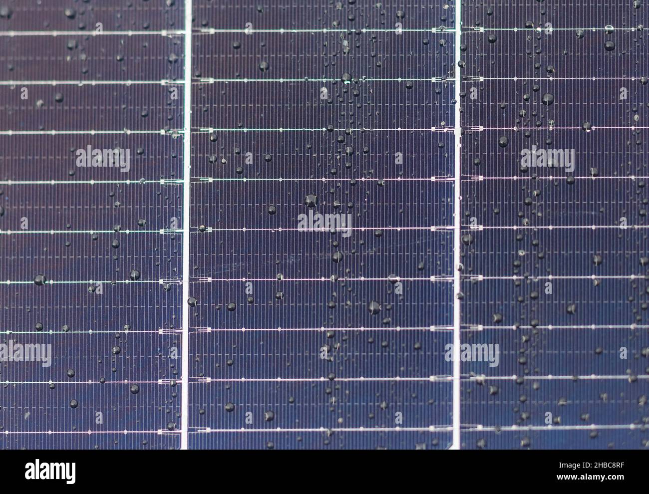 Sprinkled water hi-res stock photography and images - Alamy