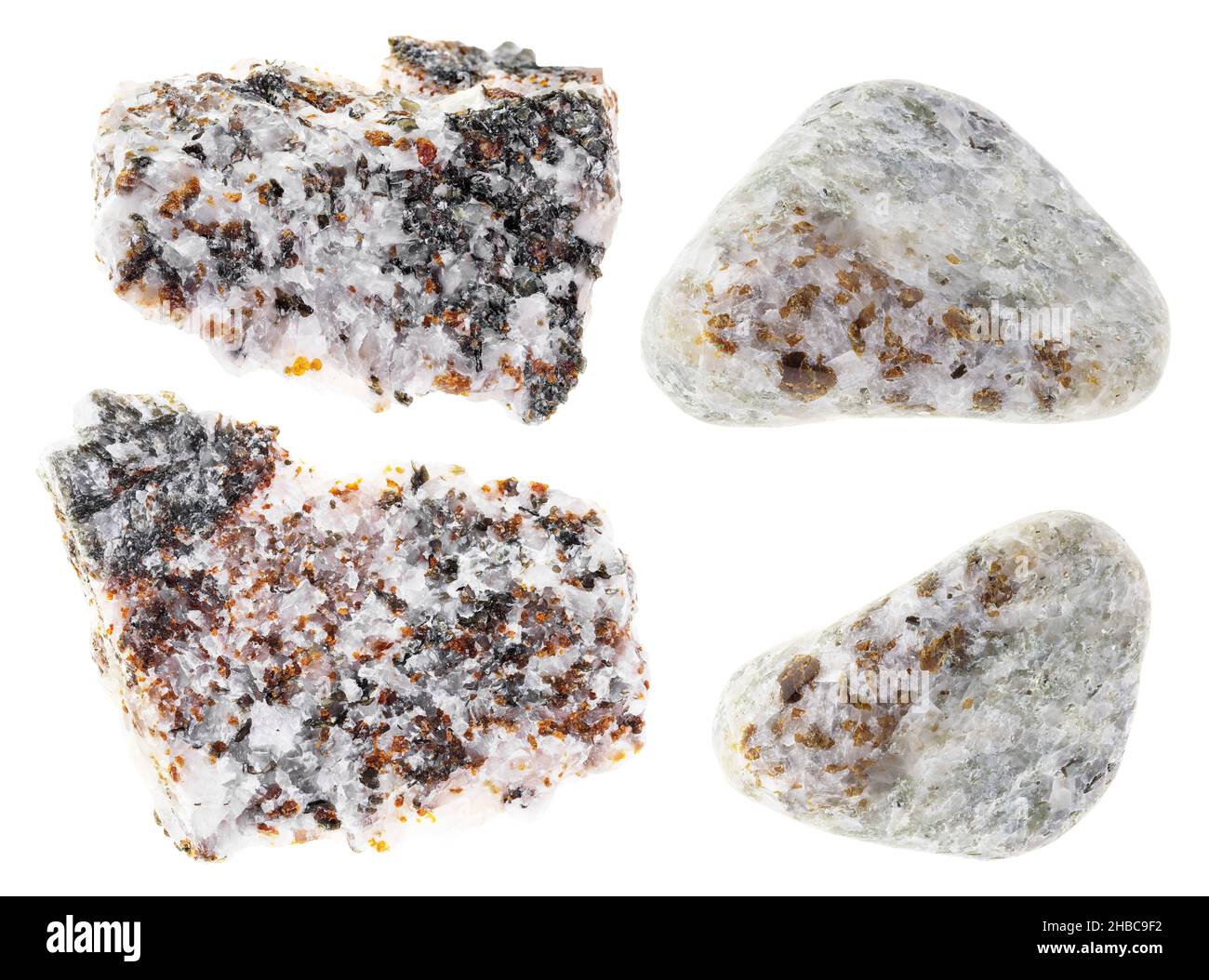 set of chondrodite crystals in rough calcite rocks cutout on white ...