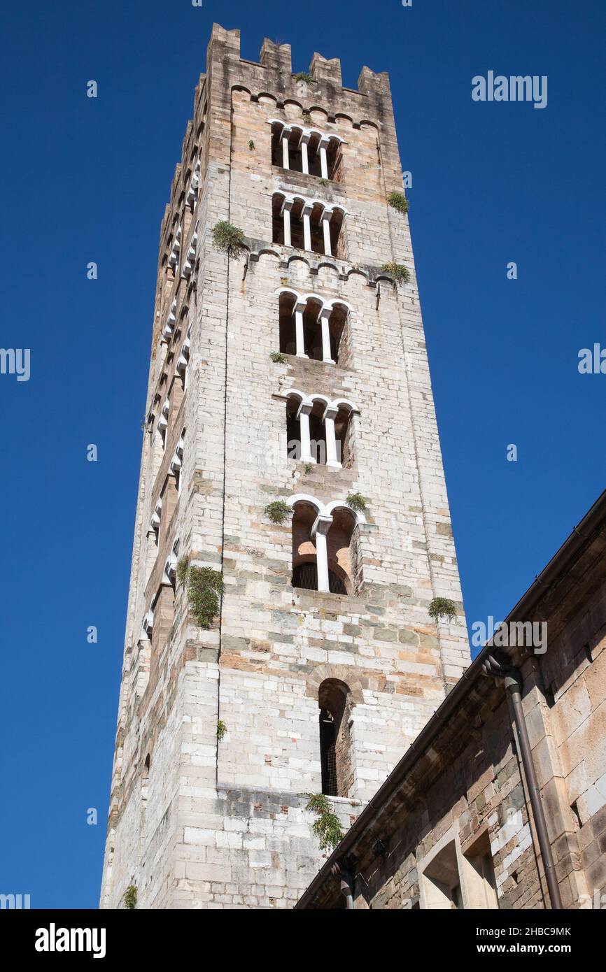 Historical medieval city Lucca in Tuscany, Italy Stock Photo - Alamy
