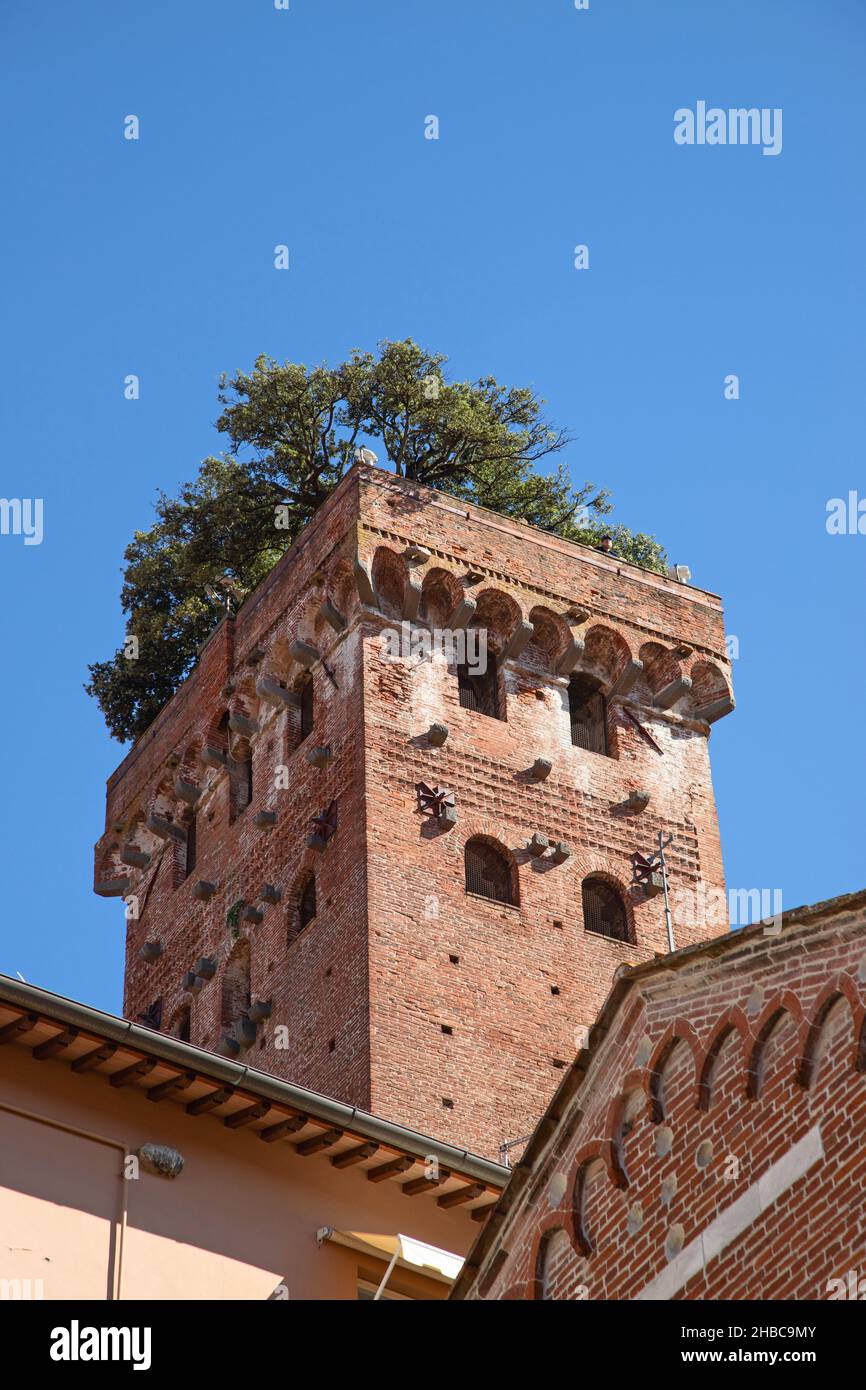 Historical medieval city Lucca in Tuscany, Italy Stock Photo - Alamy