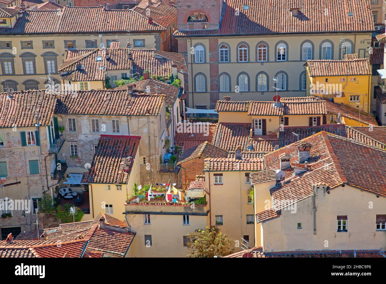 Historical medieval city Lucca in Tuscany, Italy Stock Photo - Alamy