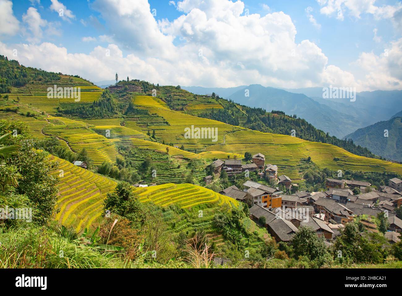 The Longsheng Rice Terraces(Dragon's Backbone) also known as Longji ...