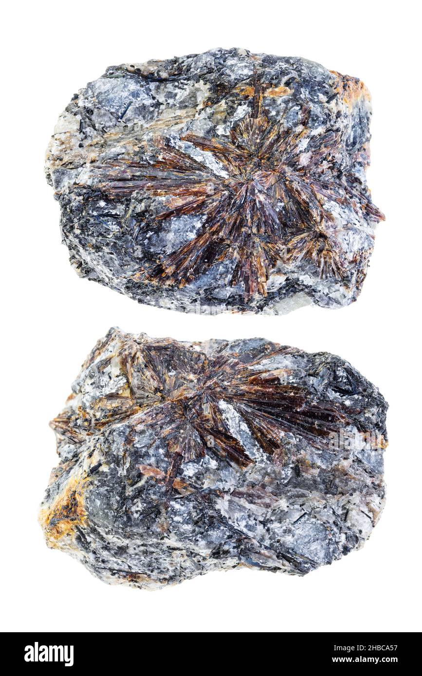 set of lamprophyllite crystals on stones cutout on white background ...