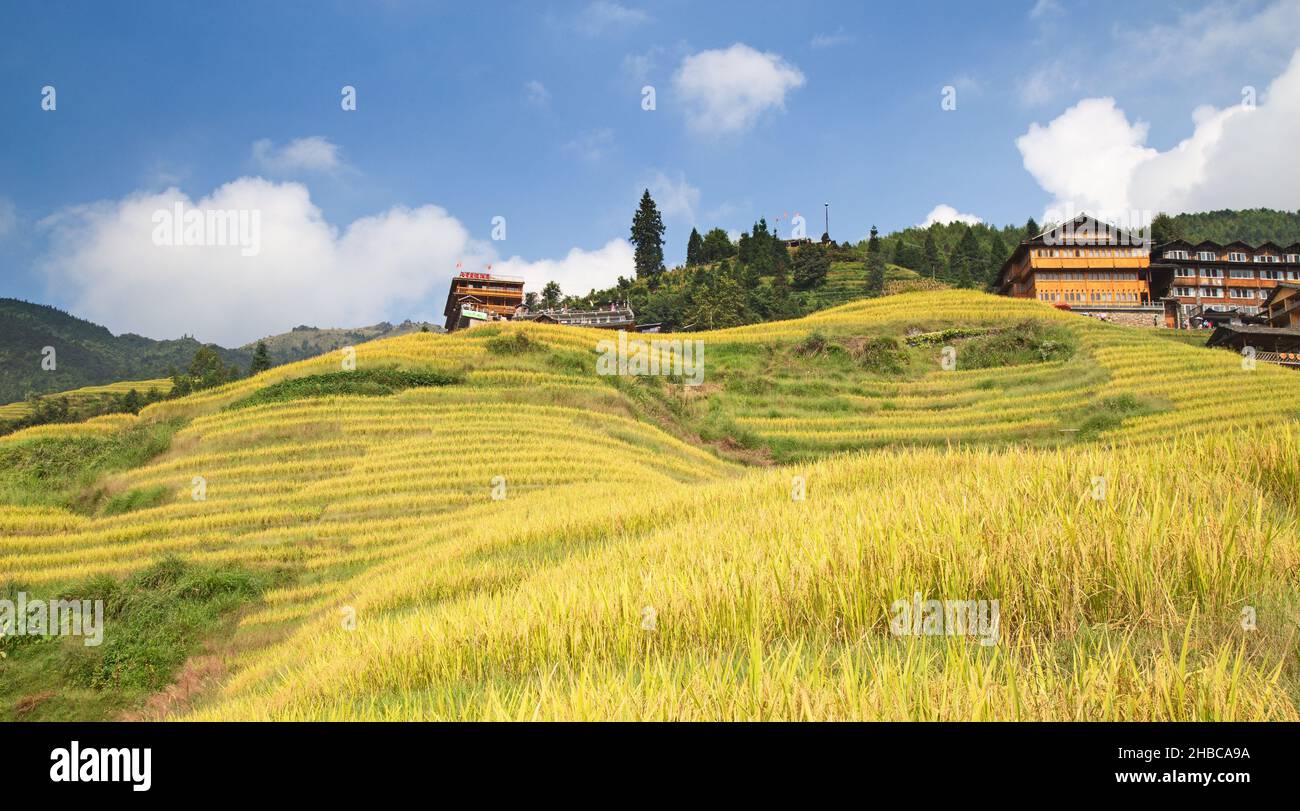The Longsheng Rice Terraces(Dragon's Backbone) also known as Longji ...