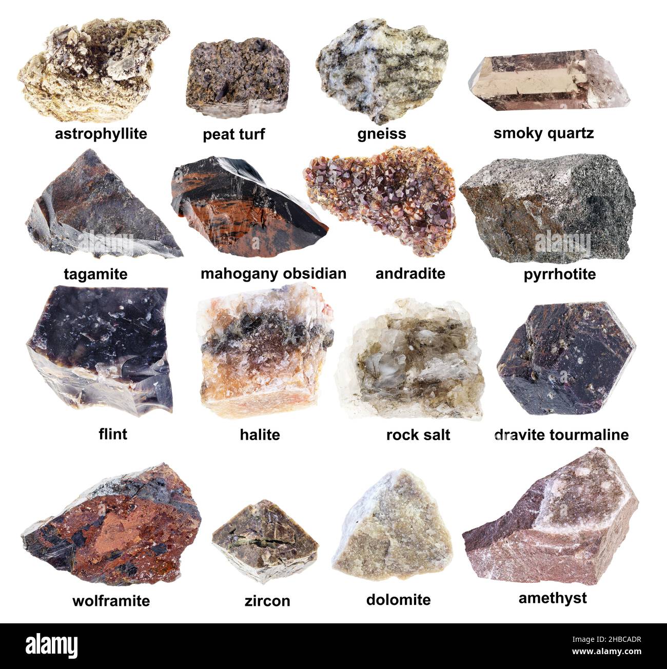 set of various brown rough rocks with names cutout on white background ...