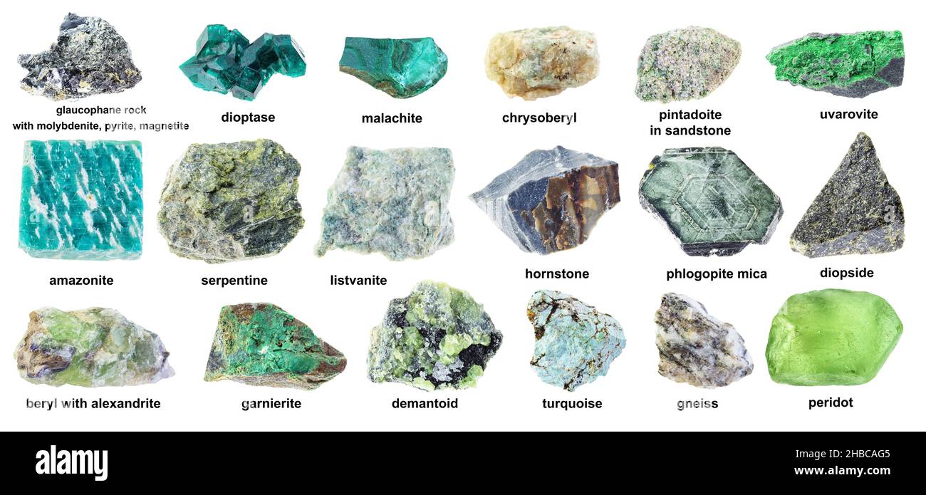 set of various raw green stones with names cutout on white background ...