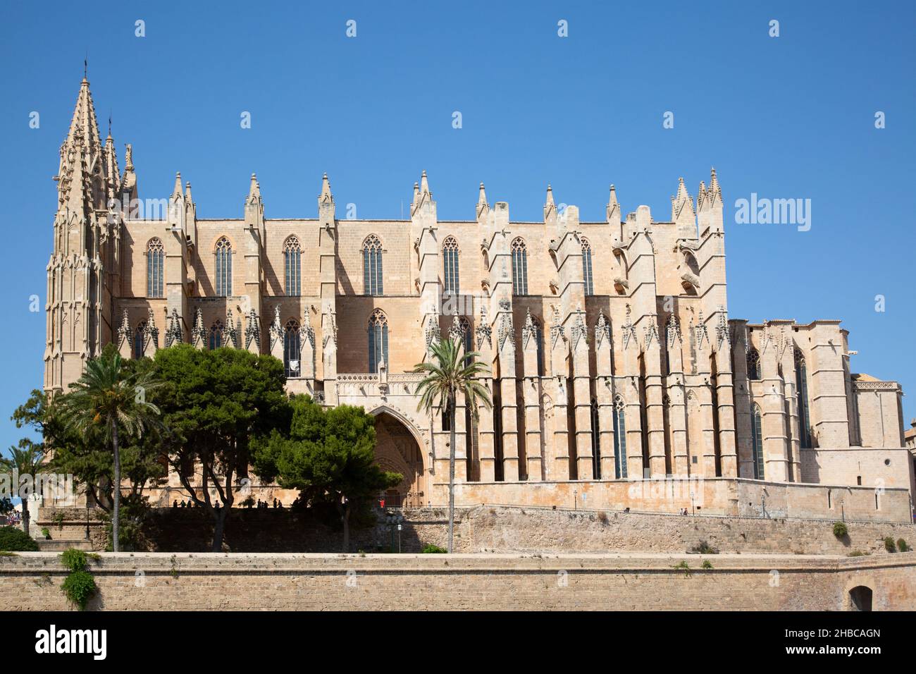 Main cathedral of the Palma de Mallorca city in Spain Stock Photo - Alamy
