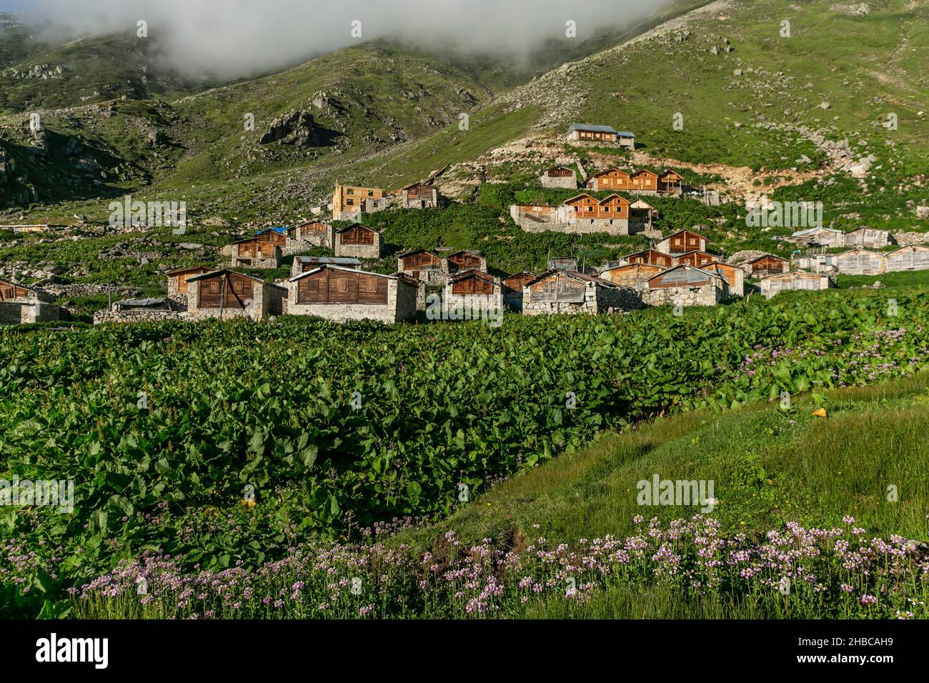 Golezena, a highland village in the Ardeşen district of Rize, offers ...