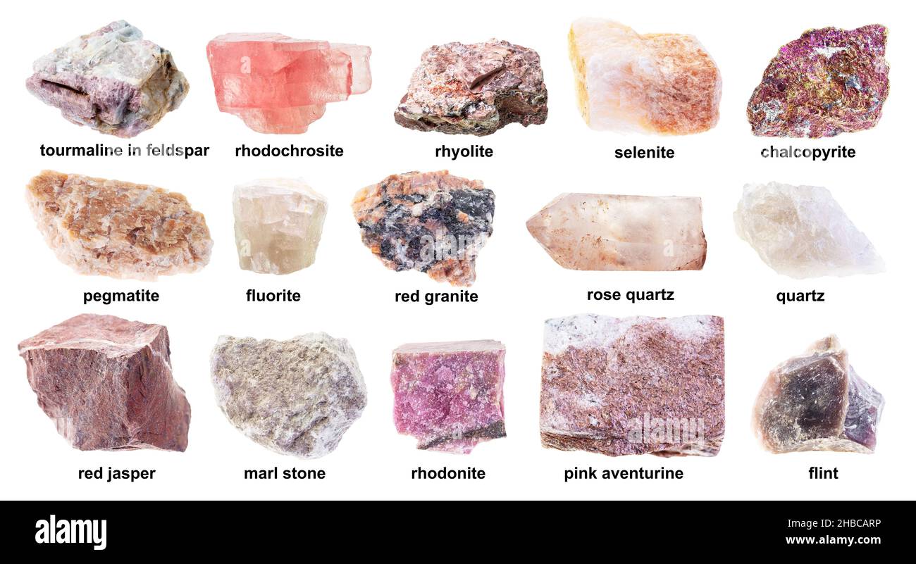 set of various unpolished pink rocks with names cutout on white ...