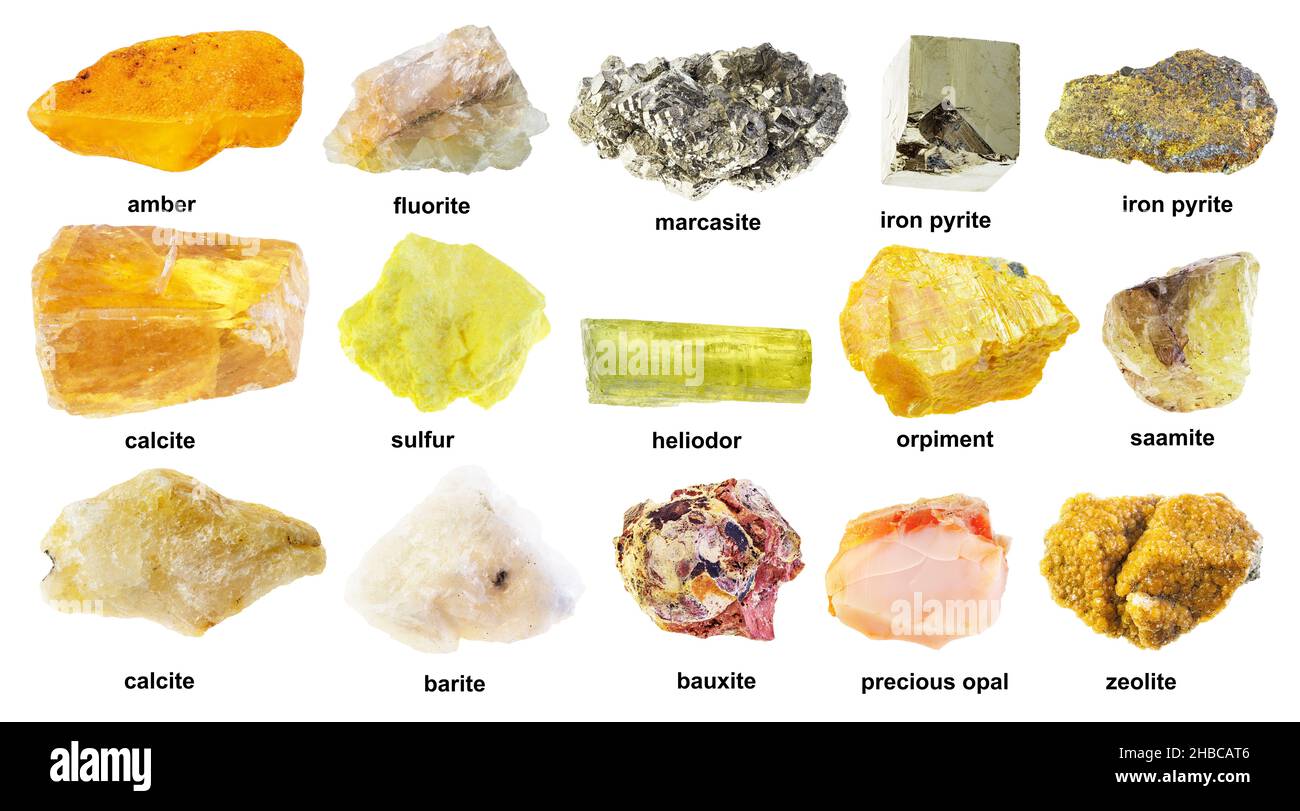 set of various unpolished yellow rocks with names cutout on white ...