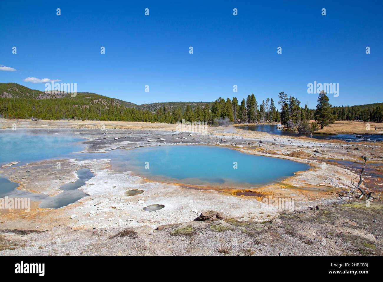 Lower geyser basin in the Yellowstone National park, USA Stock Photo ...