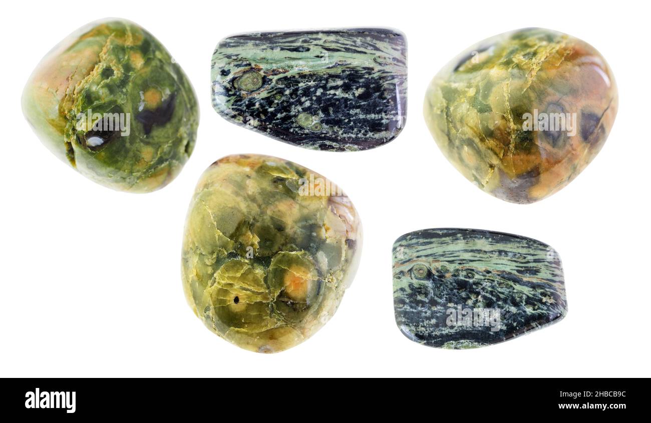Orbicular jasper mineral stone hi-res stock photography and images - Alamy