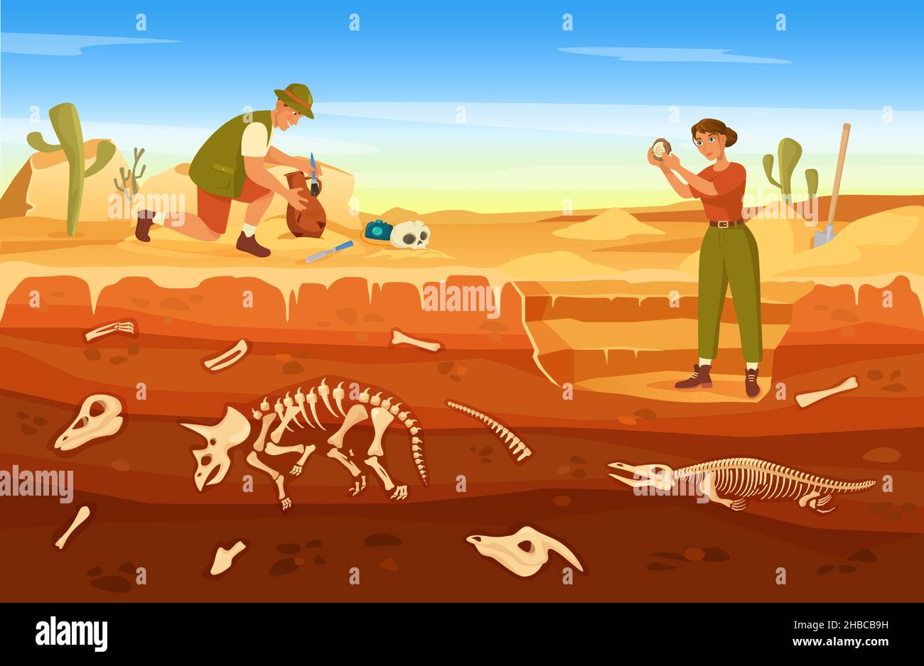 Dig an archaeological adventure hi-res stock photography and images - Alamy