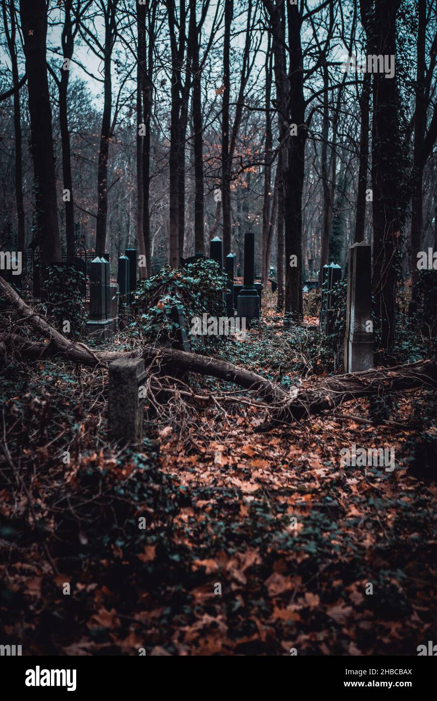 old abandonded jewish cemetery in a forest Stock Photo - Alamy