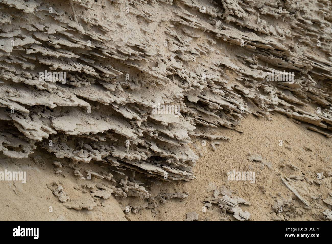 Grainstone, or kurkar rocks and stones, typical of the mediterranean ...