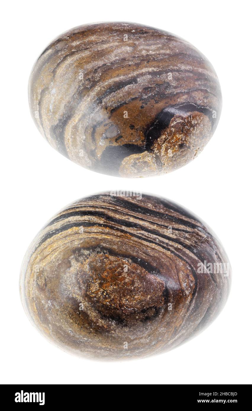 set of stromatolite (stromatolith) stones cutout on white background ...